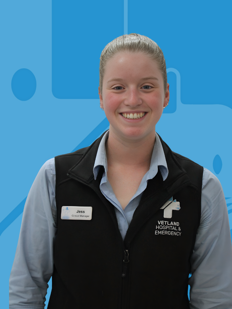 BOAS Surgery | VetLand Hospital & Emergency